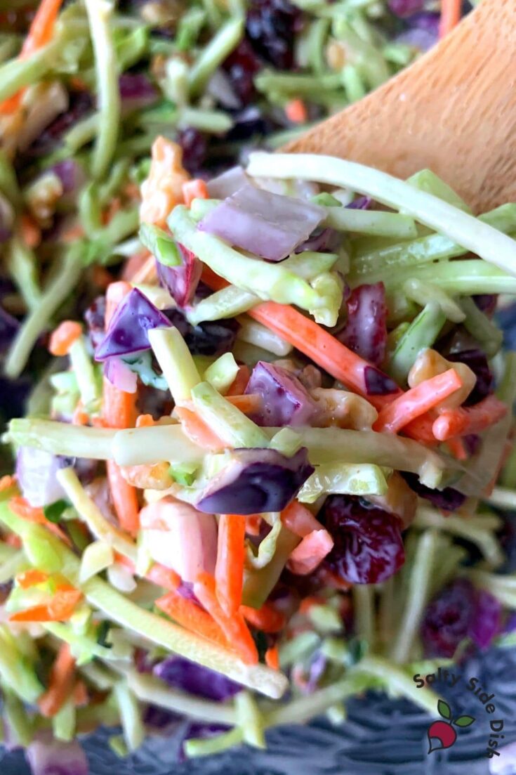 Broccoli Slaw with both Classic & Keto Dressing | Salty Side Dish
