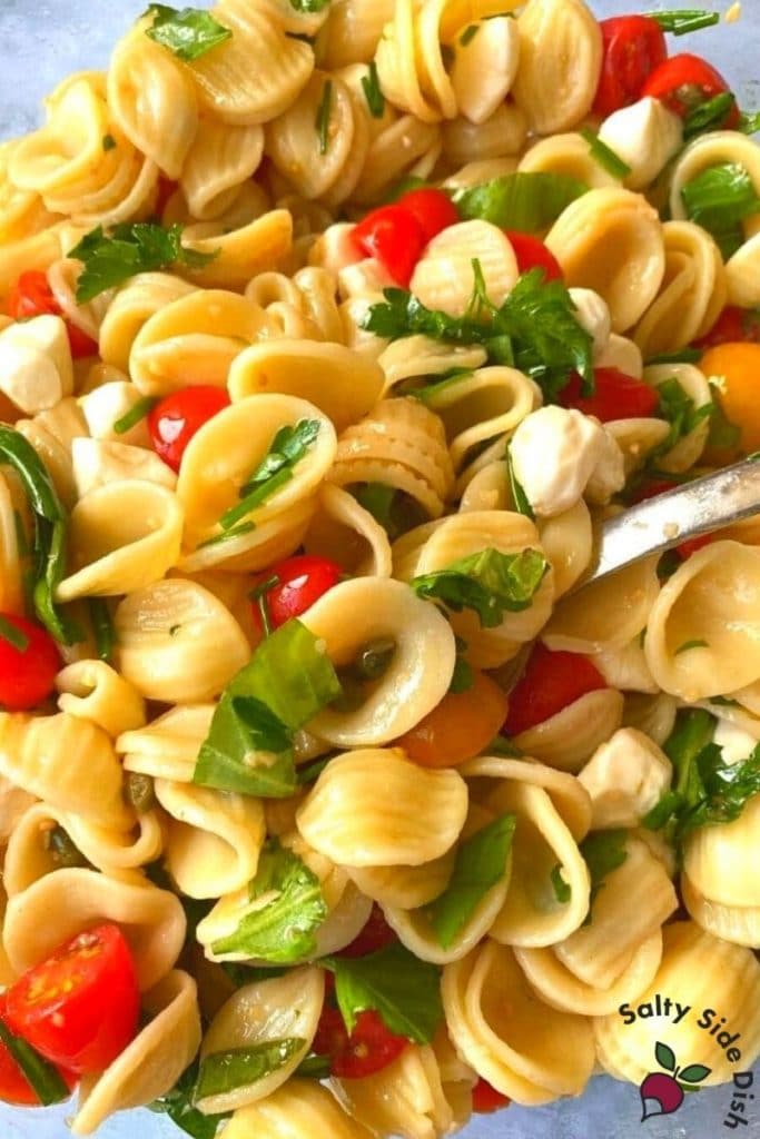 Radiatore Pasta Salad with Italian Dressing and Pepperoni | Salty Side Dish