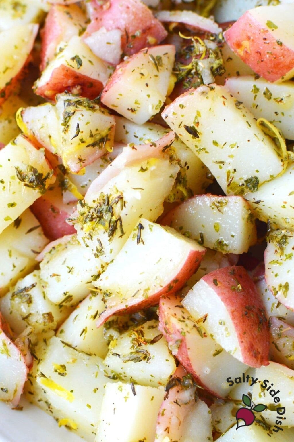 Creamy Tortellini Pasta Salad with Olive Garden Dressing | Salty Side Dish