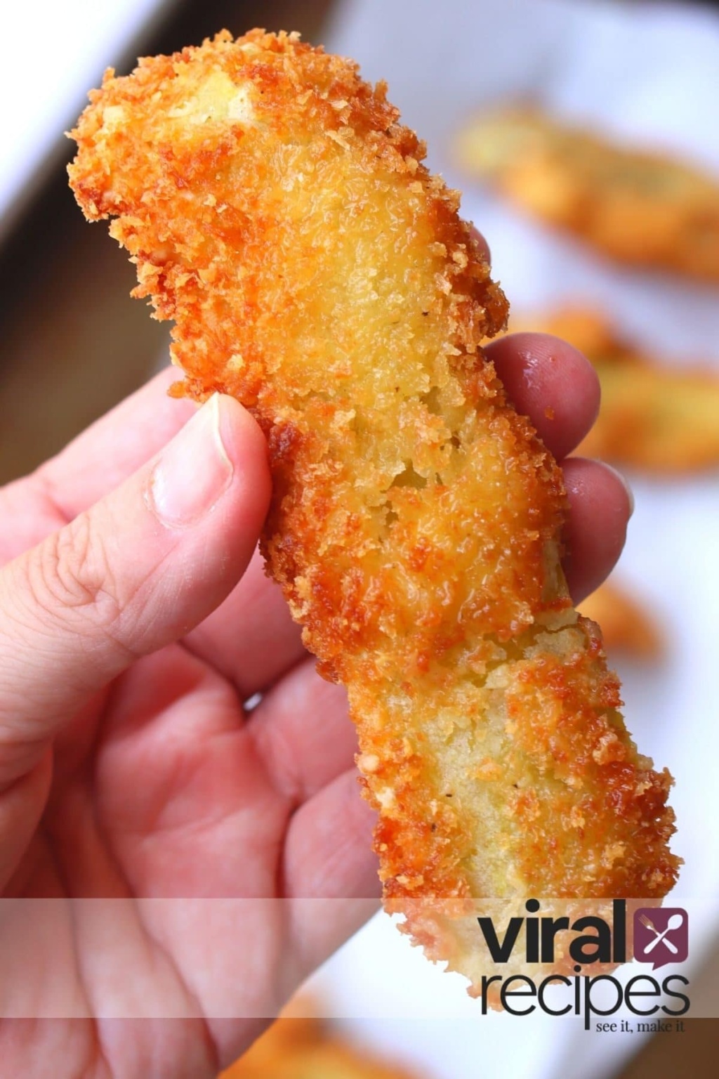 Fried Pickle Spears Recipe with Crispy Panko Bread Crumbs | Salty Side Dish