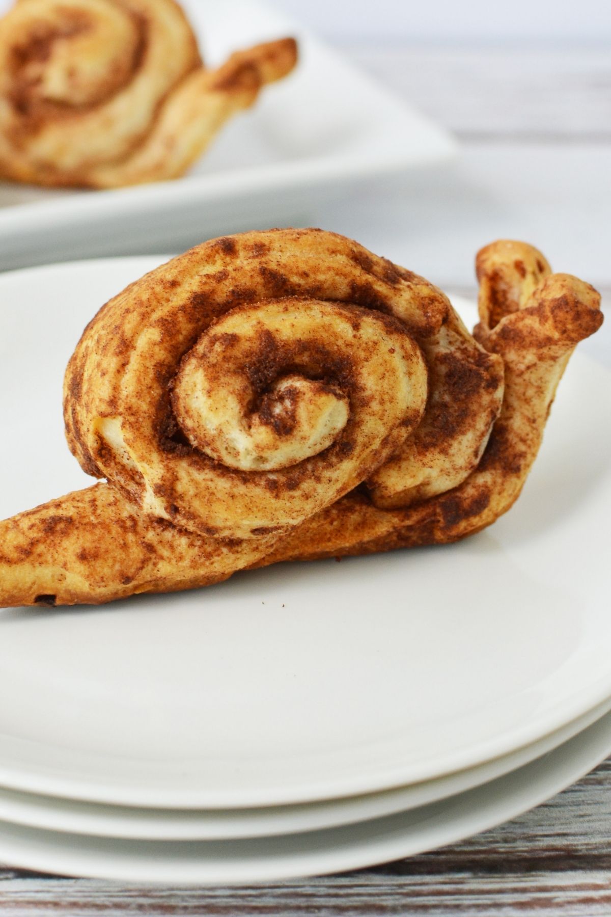 Cinnamon Snails Recipe inspired by TikTok!