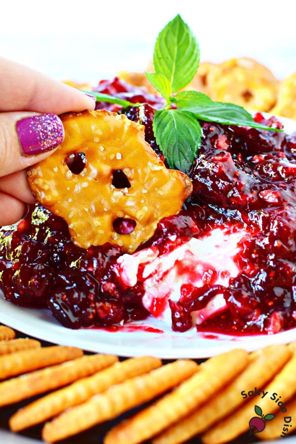 Easy Christmas Dips for Holiday Parties! | Salty Side Dish