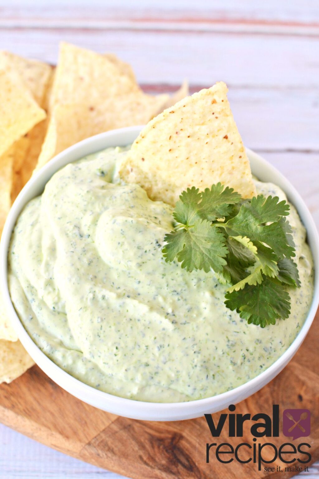 Easy Dip Recipes for Your Next Party | Salty Side Dish Dip Recipes